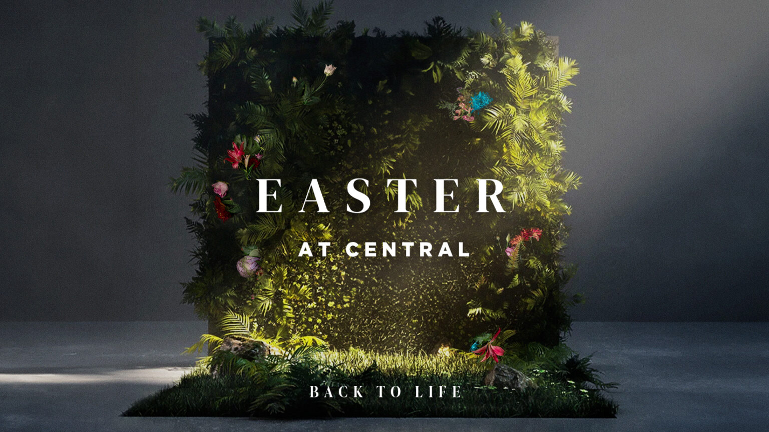 Watch - Central Church